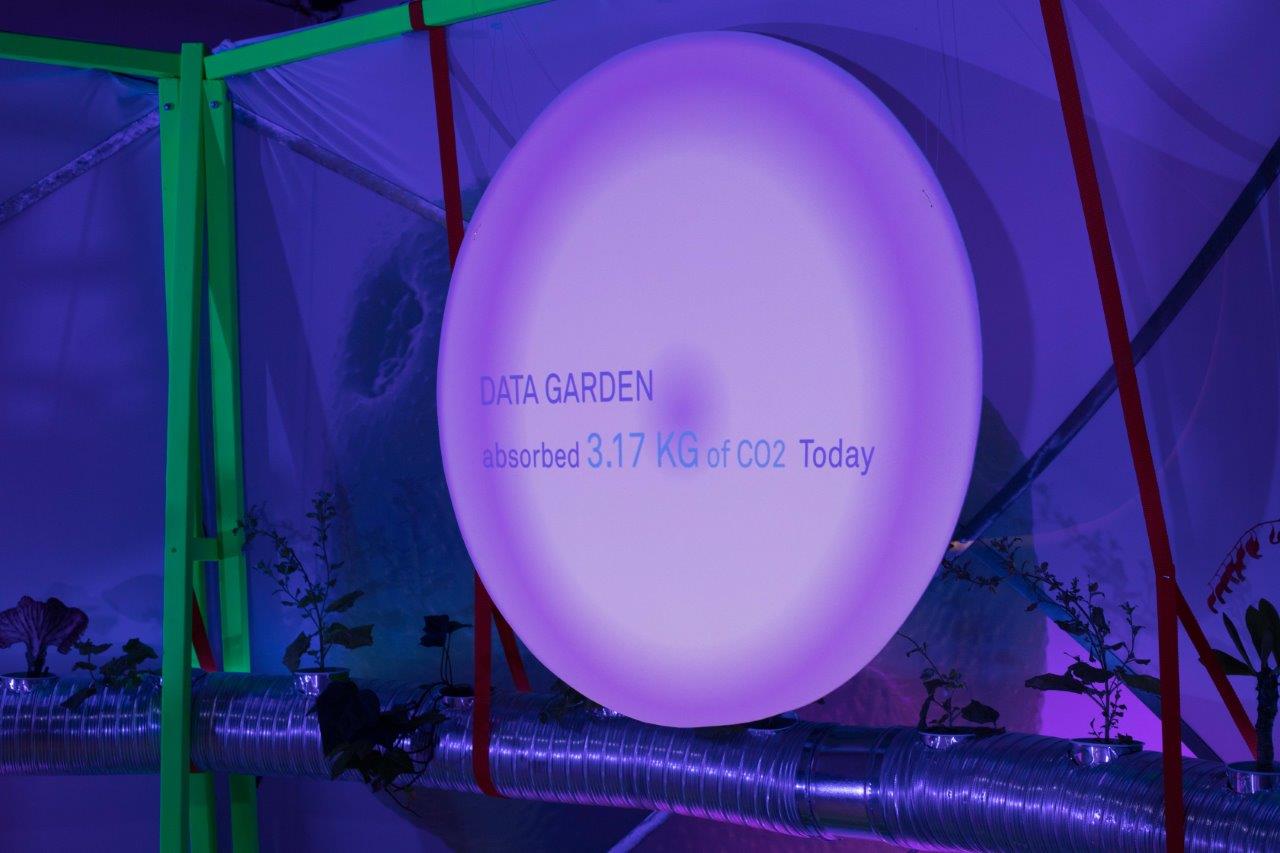 Data Garden - Branch