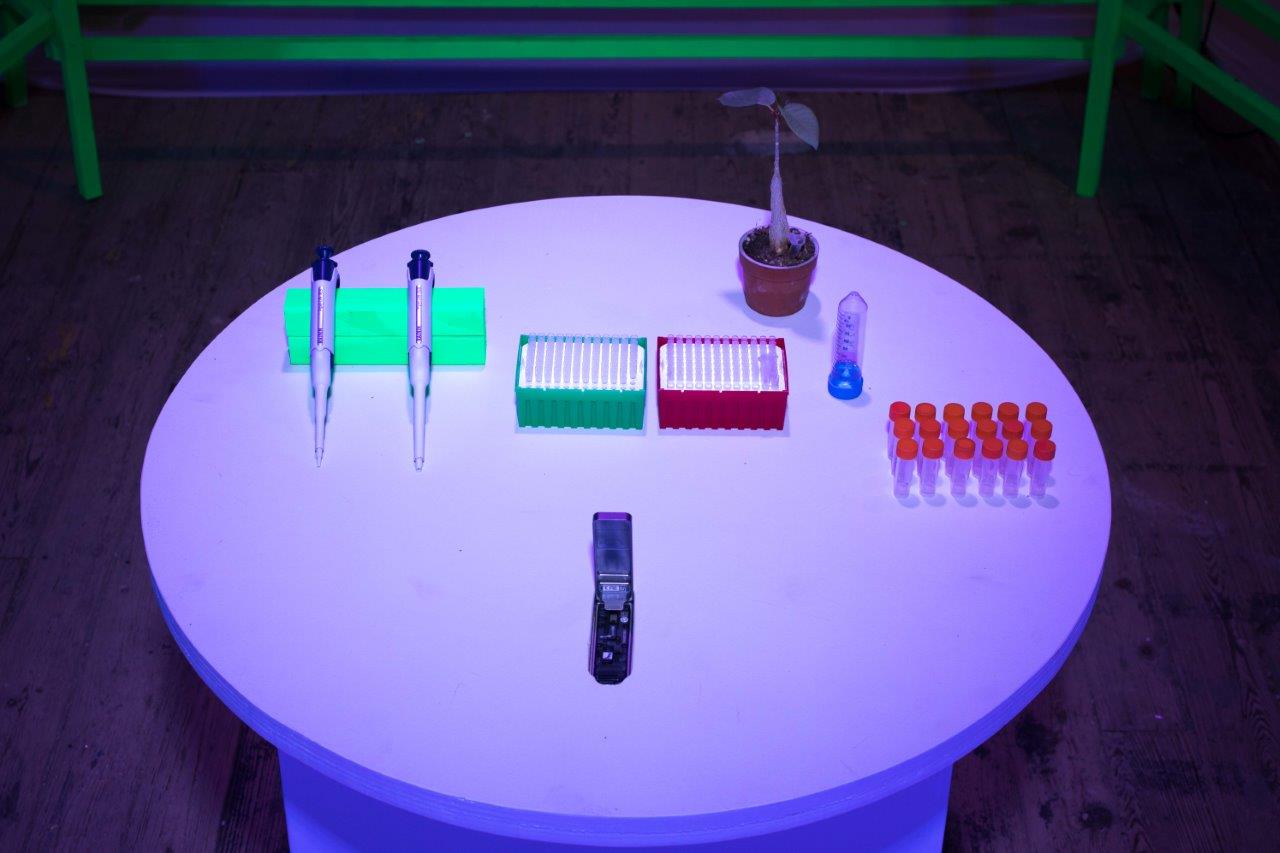 Data Garden - Branch